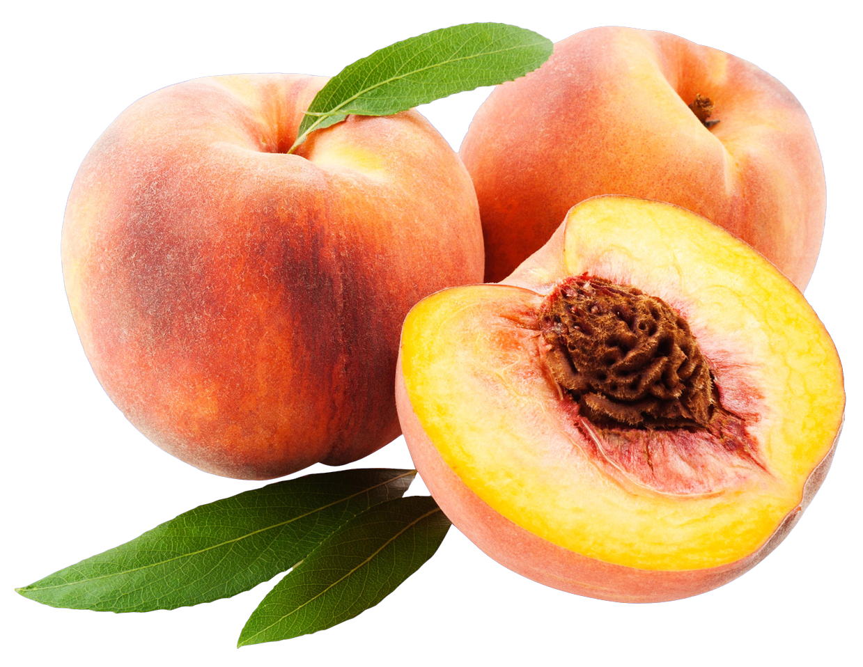 Fruits Land Azerbaijan